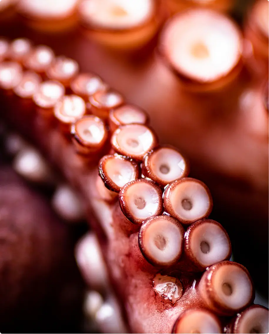 OCTO-C: New product for octopus pre-cooking treatment - PH7 Food Tech